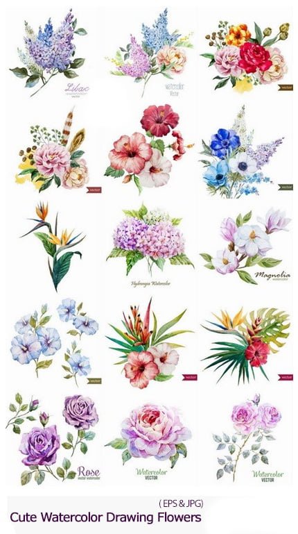 Cute Watercolor Drawing Flowers | visualstorms