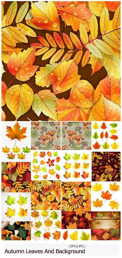 Autumn Leaves And Background From Colourful Leaves | visualstorms