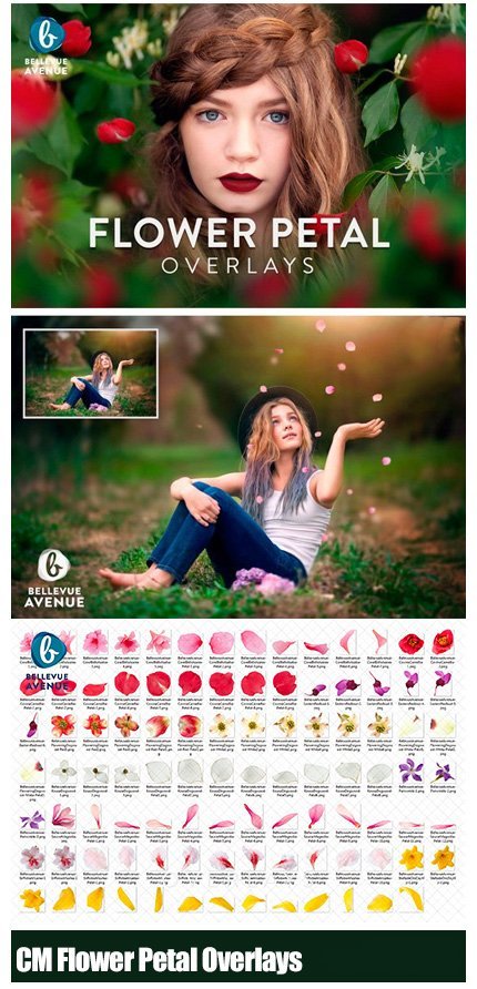 CM Flower Petal Overlays Real | visualstorms