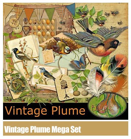 Scrap Set Vintage Plume Mega Set | visualstorms