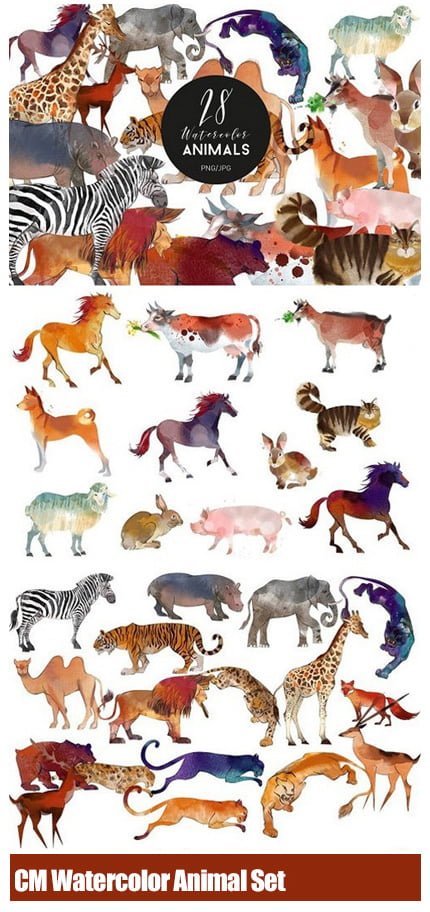 CM Watercolor Animal Set | visualstorms