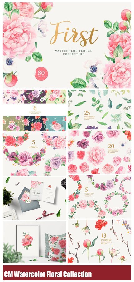 CM Watercolor Floral Collection | visualstorms