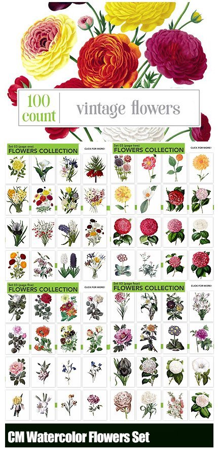 CM Watercolor Flowers Bundle Set | visualstorms