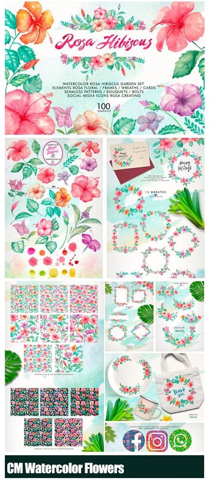 CM Watercolor Hibiscus Flowers | visualstorms