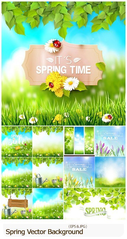 Spring Vector Background With Flowers And Leaves And Green Grass | visualstorms