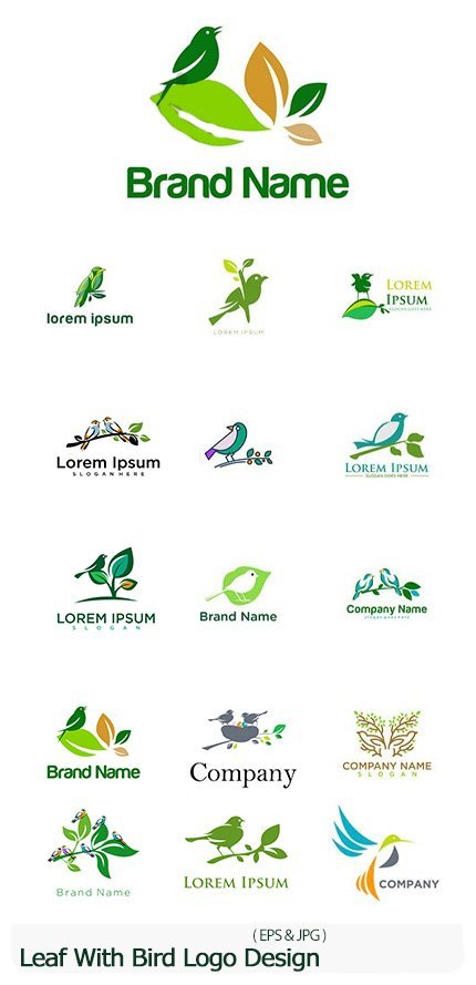 Leaf With Bird Logo Design Template | visualstorms