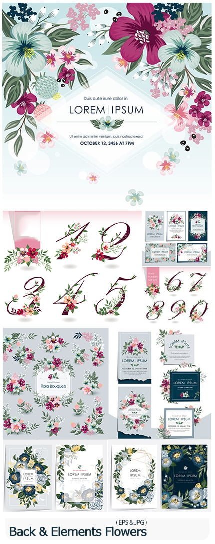 Vector Backgrounds And Elements With Flowers | visualstorms