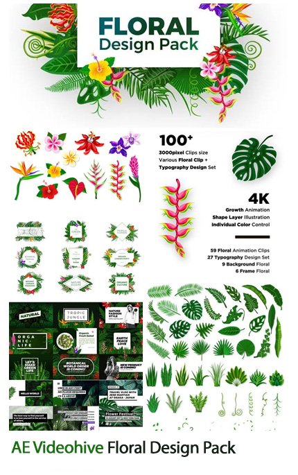 Floral Design Pack | visualstorms Floral Design Pack