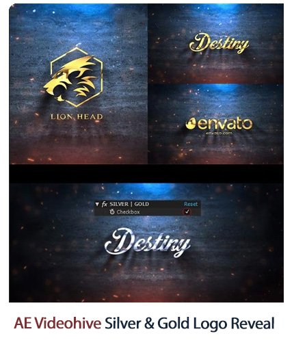 Silver And Gold Logo Reveal | visualstorms