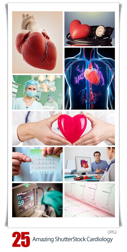 Amazing ShutterStock Cardiology | visualstorms