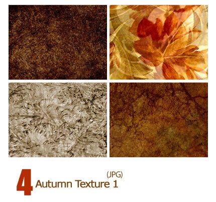 Autumn Texture 01 | visualstorms