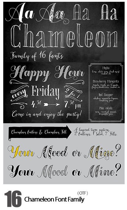 Chameleon Font Family | visualstorms visualstorms