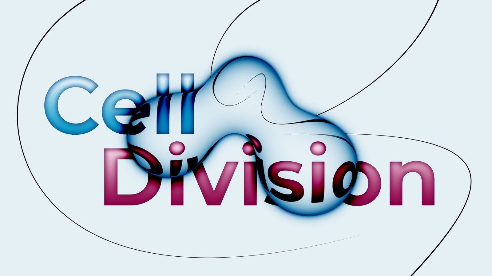 Cell Division | visualstorms